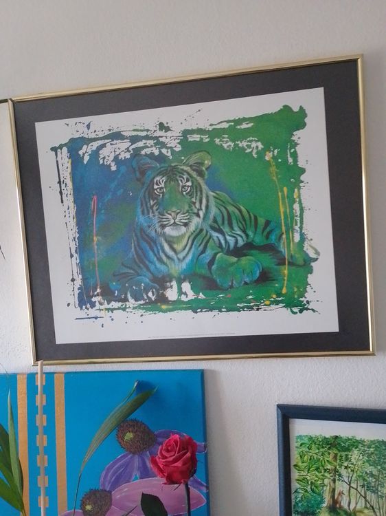 Bild, Rolf Knie | Kaufen auf Ricardo