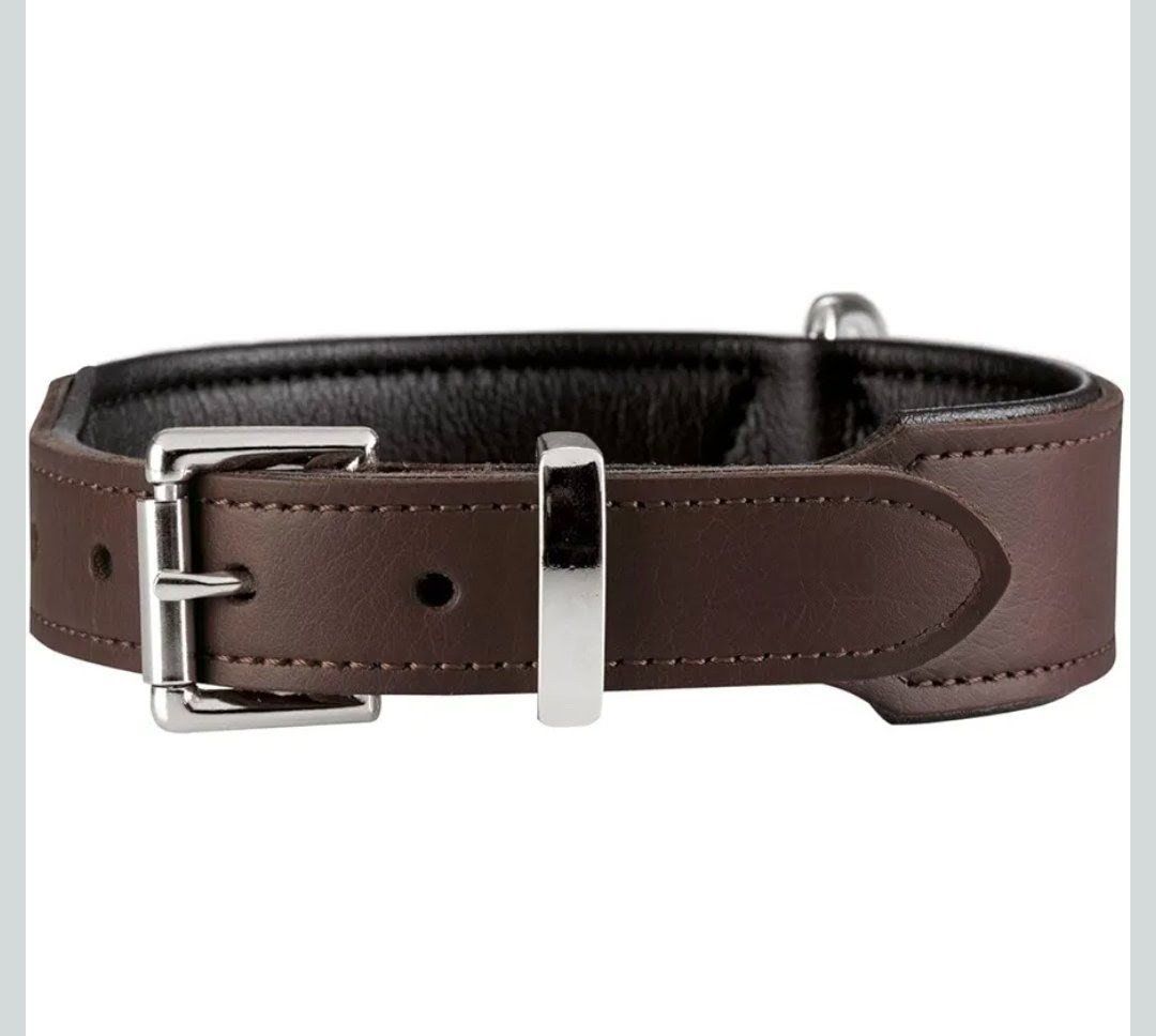 NEU: Hunter Hundehalsband Basic / Braun, Grösse 50 (S/M) 🐕 (Neu (gemäss ...