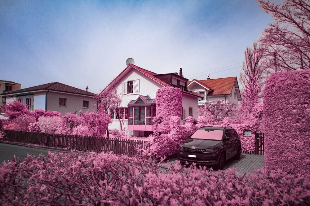 Sony Nex5N full spectrum + 550nm filter + 16-50mm PZ OSS (Gebraucht) in ...