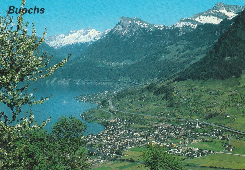 Buochs Panorama | Kaufen auf Ricardo