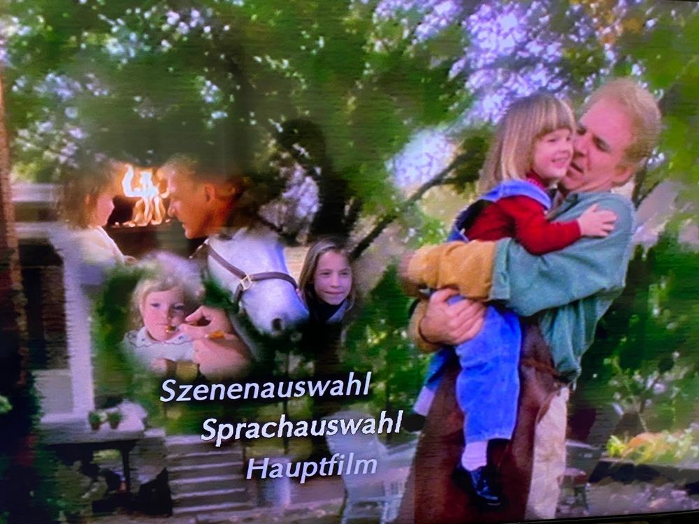 Dvd Der Zufalls-Dad (1994) Steve Martin und Catherine O’Hara (Gebraucht ...