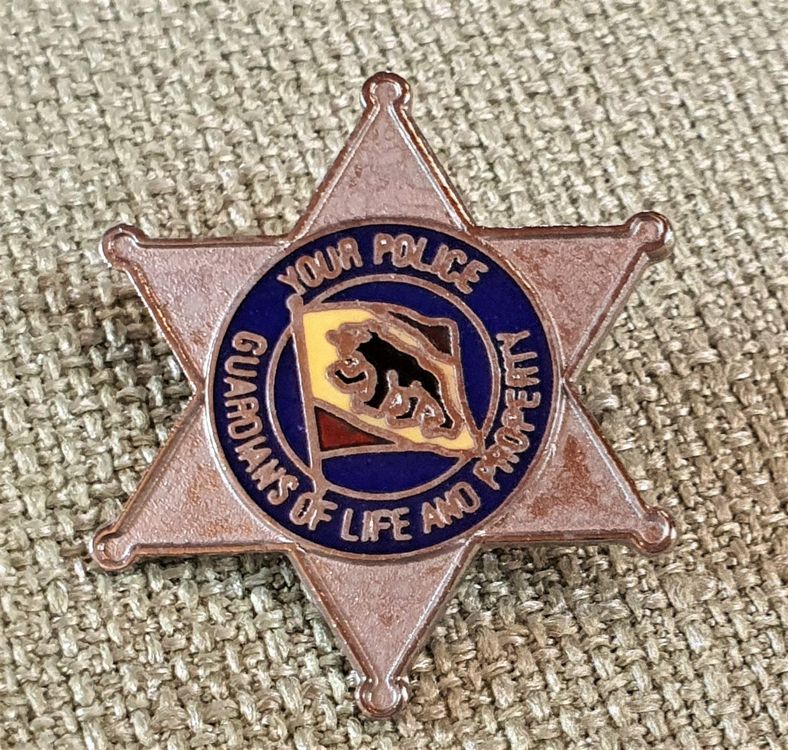 E305 Pin Bern Police Guardians of Life | Kaufen auf Ricardo