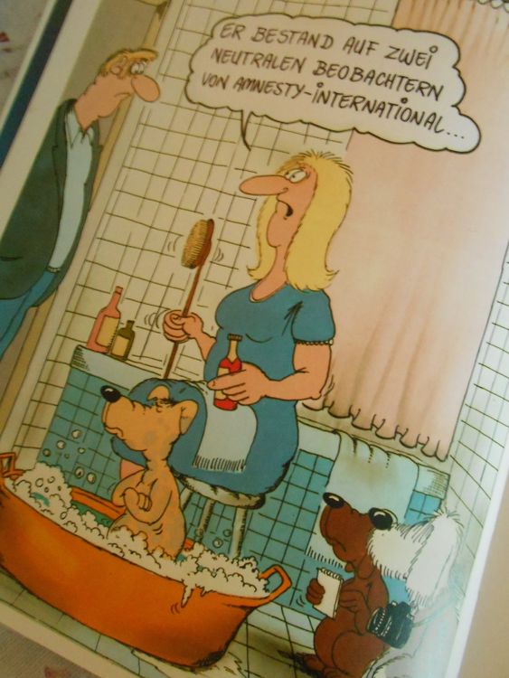 Uli Stein / Ach du dicker Hund - Comic (Gebraucht) in Schindellegi für ...