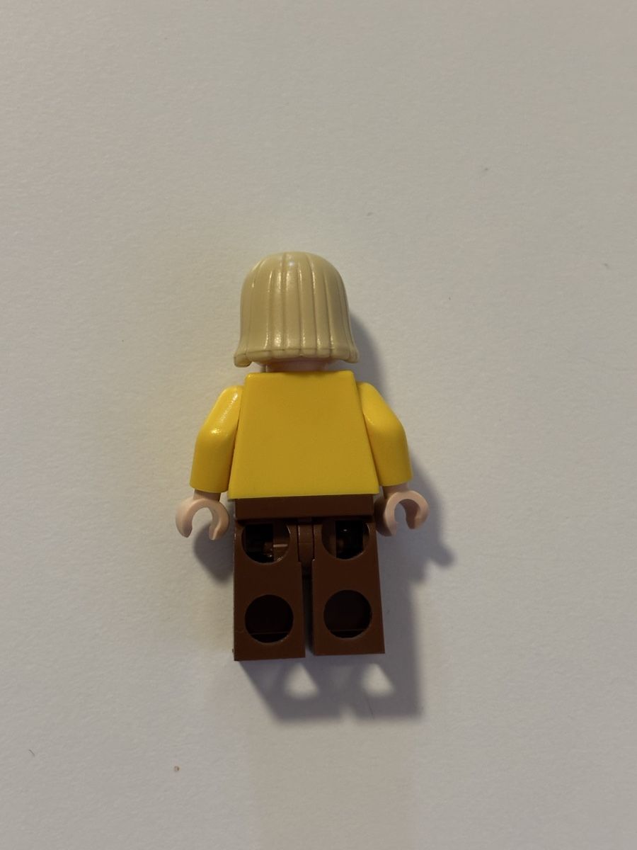 Lego Star Wars Luke Skywalker - Celebration (Neu (gemäss Beschreibung ...