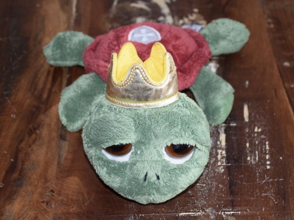 Plüschtier Schildkröte Russ Shecky " Prinz" (Gebraucht) in Wetzikon ZH ...