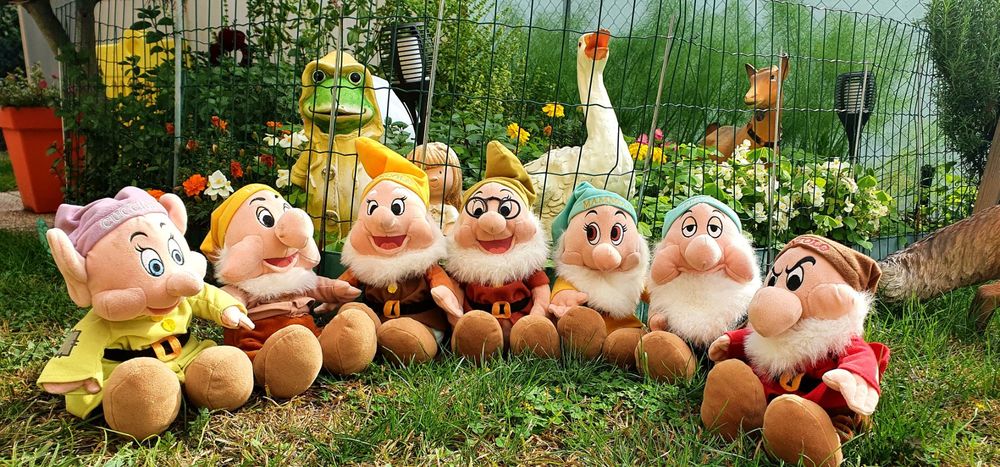 7 ZWERGE PLÜSCH (CA 35 CM) - DISNEY (Gebraucht) in Cugnasco für CHF 68 ...