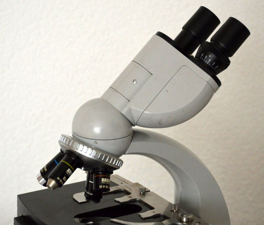 Zeiss KF 2 Mikroskop / microscope (Gebraucht) in Collonges für CHF 390 ...