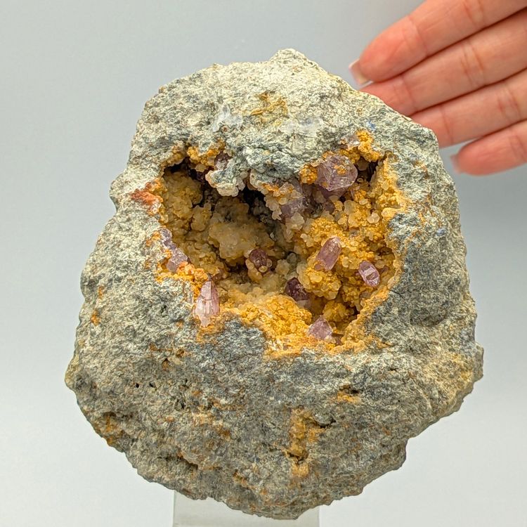 GEODE mit AMETHYST und GELBER ANKERIT, Sardinien (Neu (gemäss Beschreibung)) in Balerna für CHF ...