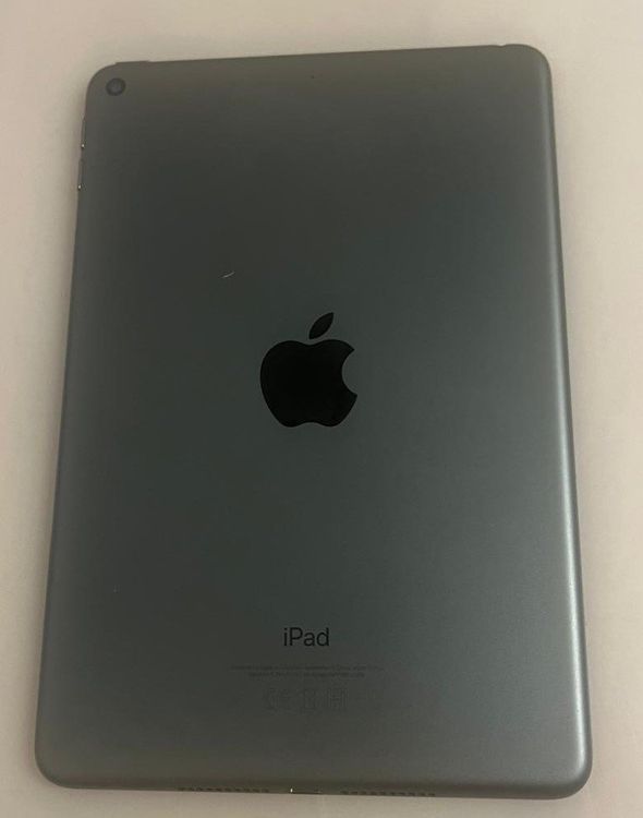 Gerät: iPad mini (5. Generation) (Wi-Fi) (Gebraucht) in Egnach für CHF ...