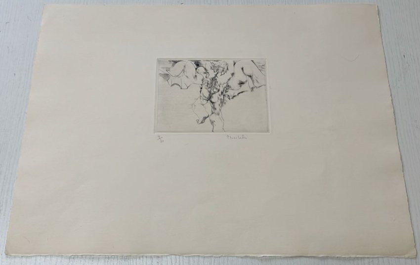 Radierung handsigniert Pierre Zucchelli (ID b4218) (Gebraucht) in ...