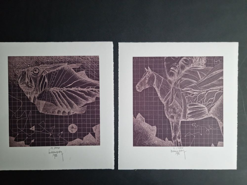 BRUNO CERF 2 LITHOGRAPHIEN IN MAPPE SIGNIERT NUMMERIERT (Gebraucht) in Gersau für CHF 29 – mit ...