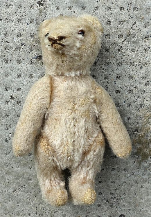 kleiner Teddy - wohl Steiff #2 (Gebraucht) in Münsingen für CHF 10 ...
