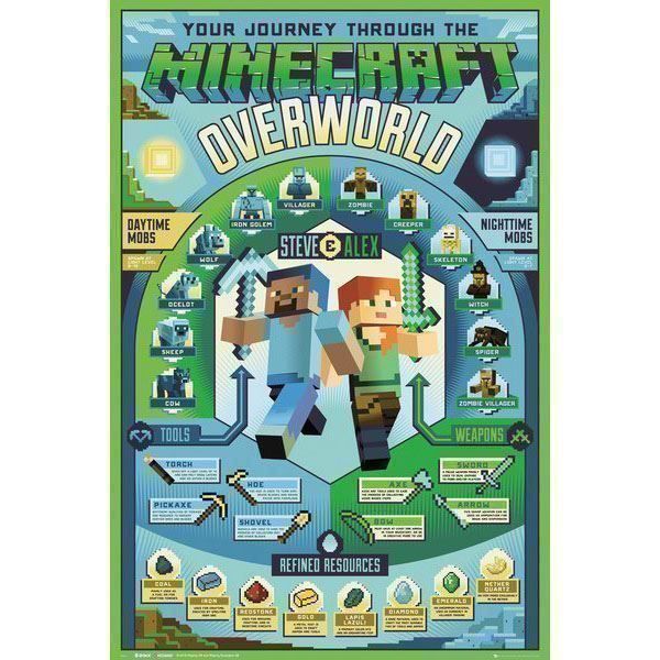 Poster Minecraft Overworld Biome (Neu und originalverpackt) in Schwyz ...