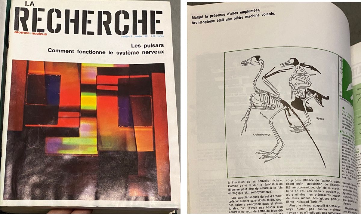 Livre Science Book La Recherche Bibliothèque Déco Professeur (D ...