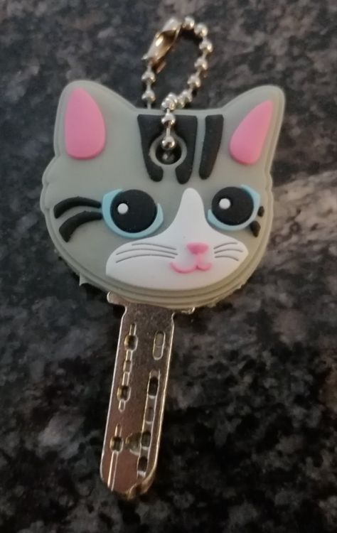 Origineller Schlüsselring 😸 'Katze' NEU (Neu und originalverpackt) in Mosnang für CHF 3.5 – mit ...