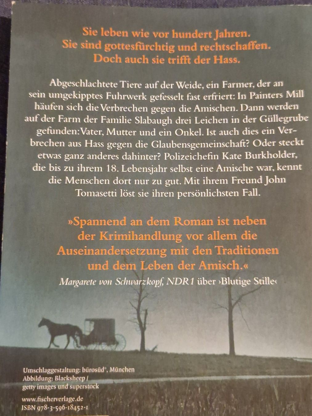 Linda Castillo Wenn die Nacht verstummt Burkholder 3 (Gebraucht) in ...