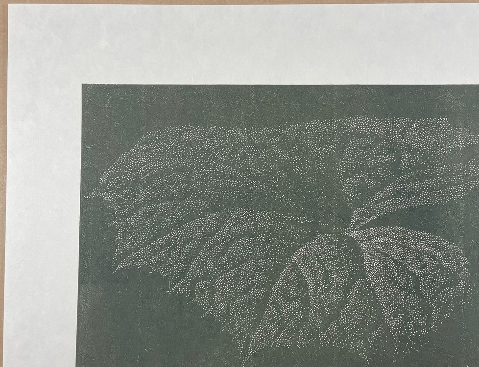 Franz Gertsch (1930-2022) Holzschnitt Handsigniert (Gebraucht) in Root für CHF 2090 – mit ...