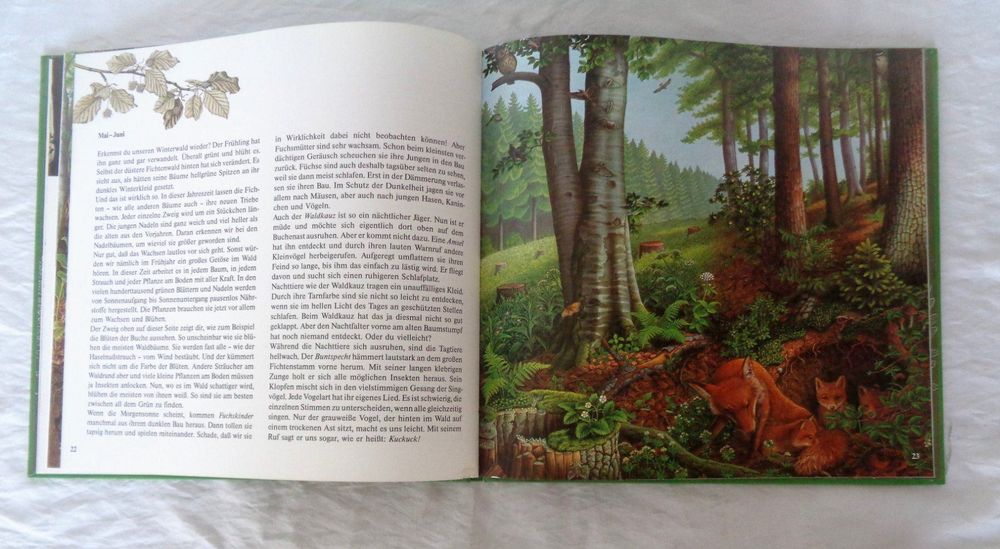 Die Wald-Uhr / Das Jahr des Waldes / Bilderbuch ab Fr. 10.- (Gebraucht ...