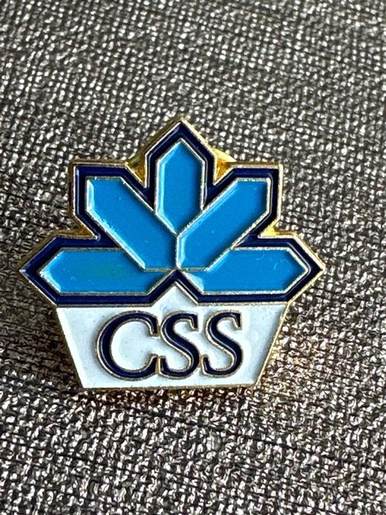 Pin CSS | Kaufen auf Ricardo