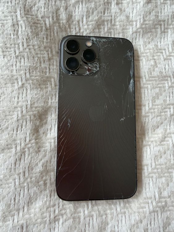 iPhone 13 PRO MAX 256GB Anthrazit (Gebraucht) in Beinwil am See für CHF ...