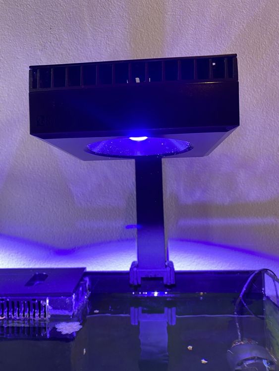 Red Sea LED 90 (Gebraucht) in Wila für CHF 175 – mit Lieferung auf ...