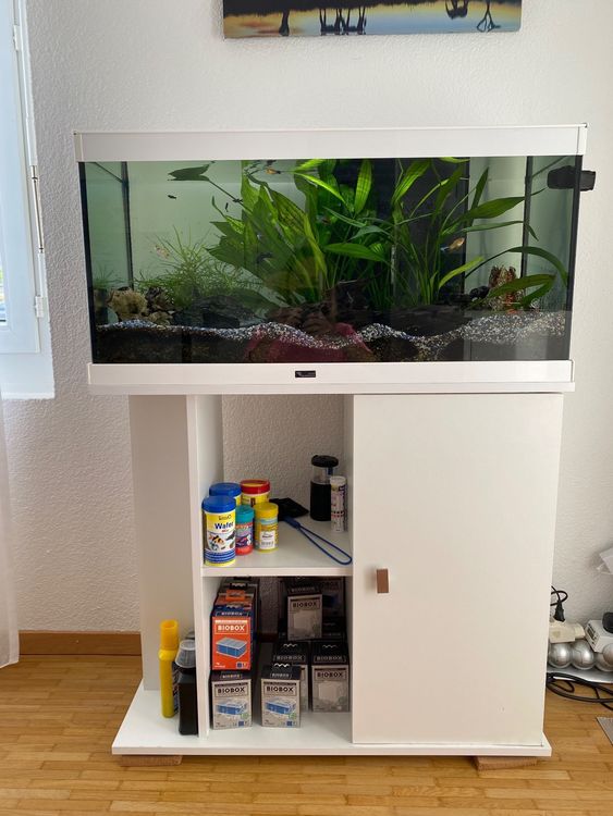 (KOPIE) Aquarium komplett (Gebraucht) in Männedorf für CHF 86 – nur Abholung auf Ricardo kaufen