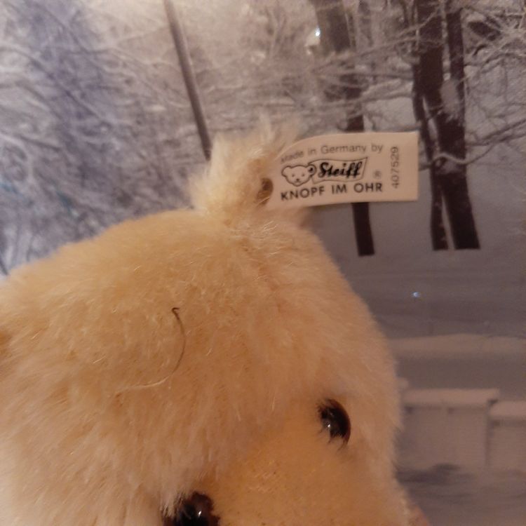 TEDDY BABY STEIFF BUB 1930 REPLICA 1993 IN OVP & ZERTIFIKAT (Neu und ...