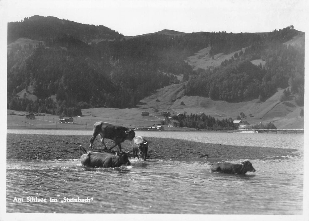 Ak Sz Am Sihlsee Im Steinbach Kaufen Auf Ricardo