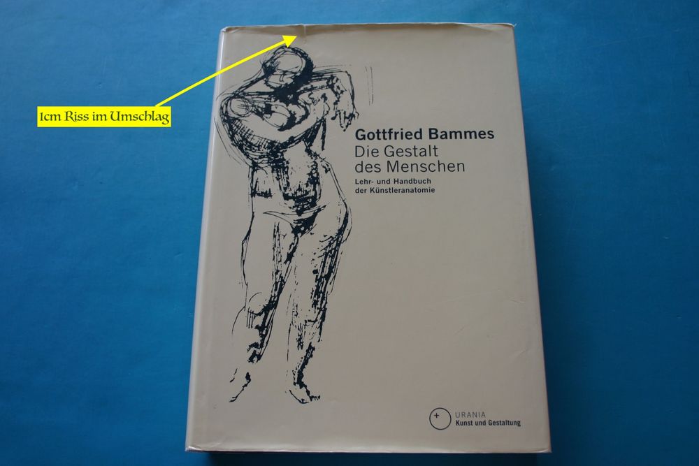 Gottfried Bammes Die Gestalt des Menschen (Gebraucht) in Winkel für CHF ...
