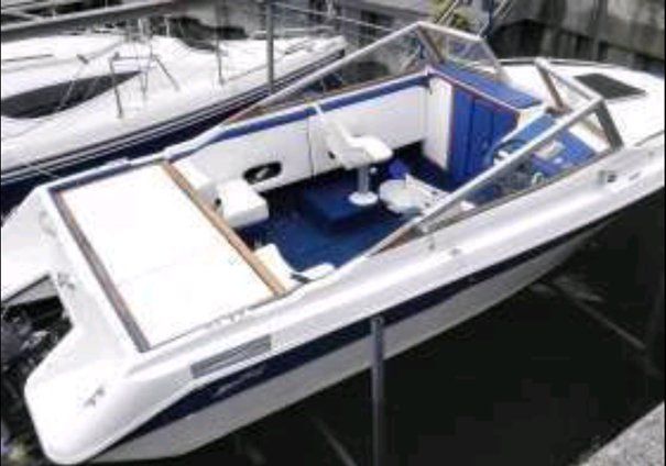 Motorboot Sea Ray 200cc; 25PS AB (Gebraucht) in Günsberg für CHF 2752 ...