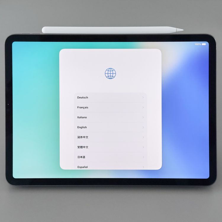 iPad Pro 11 M1 3. Gen 256 GB Space Gray ink. Pencil, Folio (Gebraucht ...