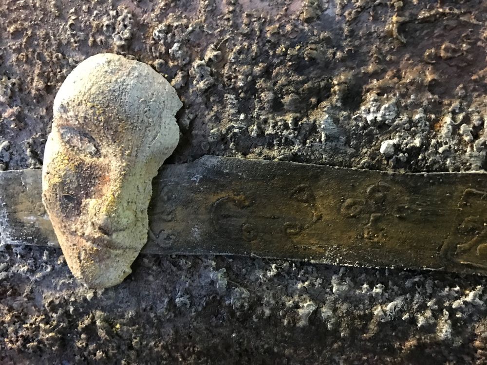 Sammlung 18 Werke Verena Brassel Öl auf Leinwand Topqualität (Gebraucht ...