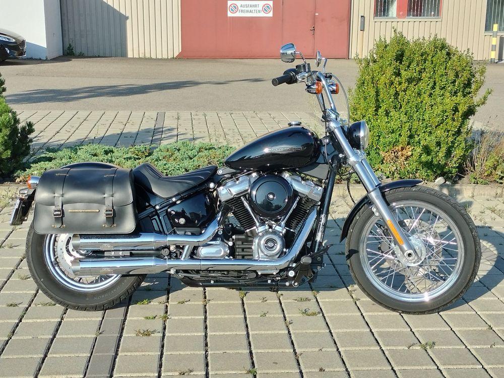 Harley-Davidson FXST Softail Standard 107 (Chopper) | Kaufen auf Ricardo