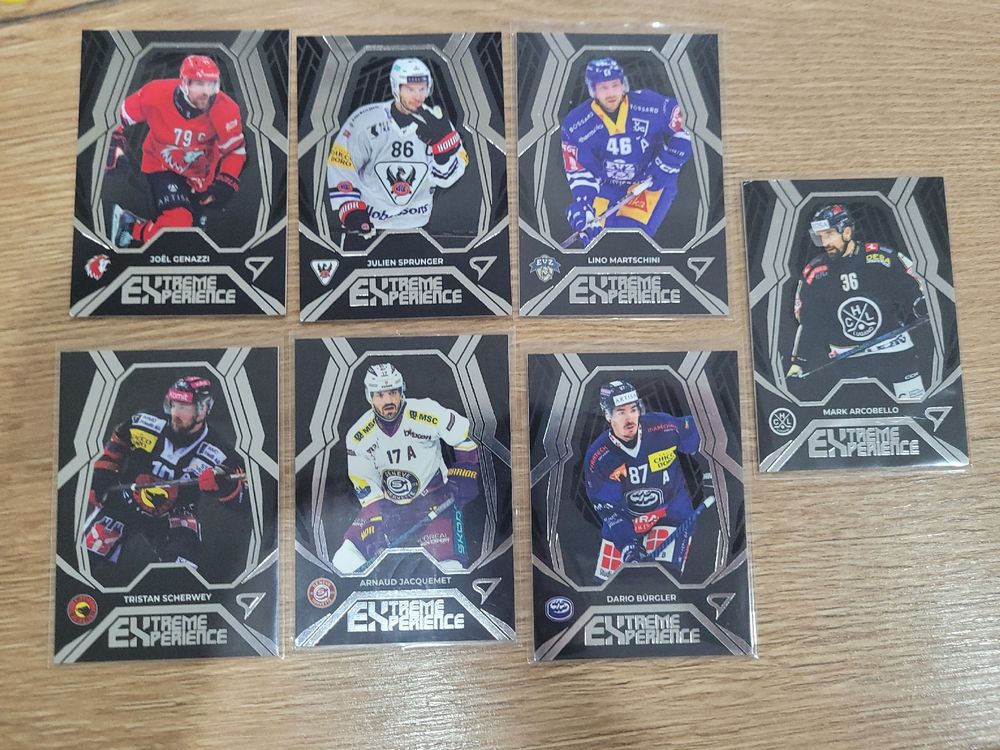 lot 7 Extreme Experience cards Sportzoo NL serie 1 2024-2025 | Kaufen ...