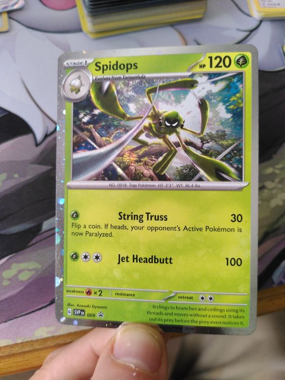Spidops (Scarlet&Violet) Englisch, Promo 009 | Kaufen auf Ricardo