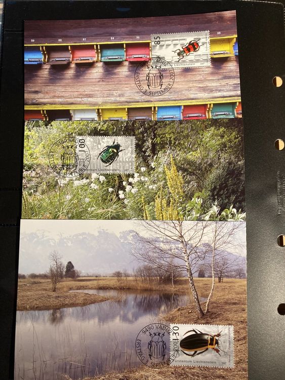 Liechtenstein 2007 Satz Maximumkarten seltene Käfer | Kaufen auf Ricardo