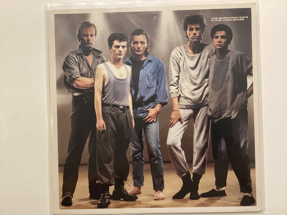 Boomtown Rats LP - In The Long Grass (Gebraucht) in Gutenswil für CHF 6 ...