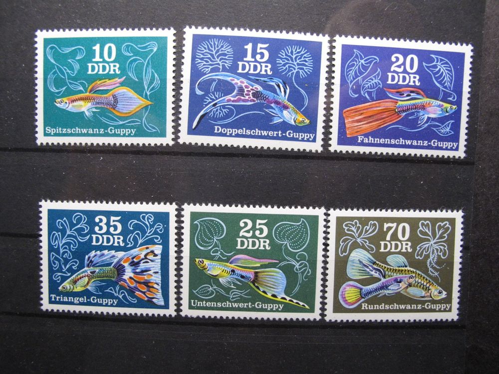 DDR 1976 Zierfische Guppys ** (Gebraucht) in Wil SG für CHF 2 – mit ...