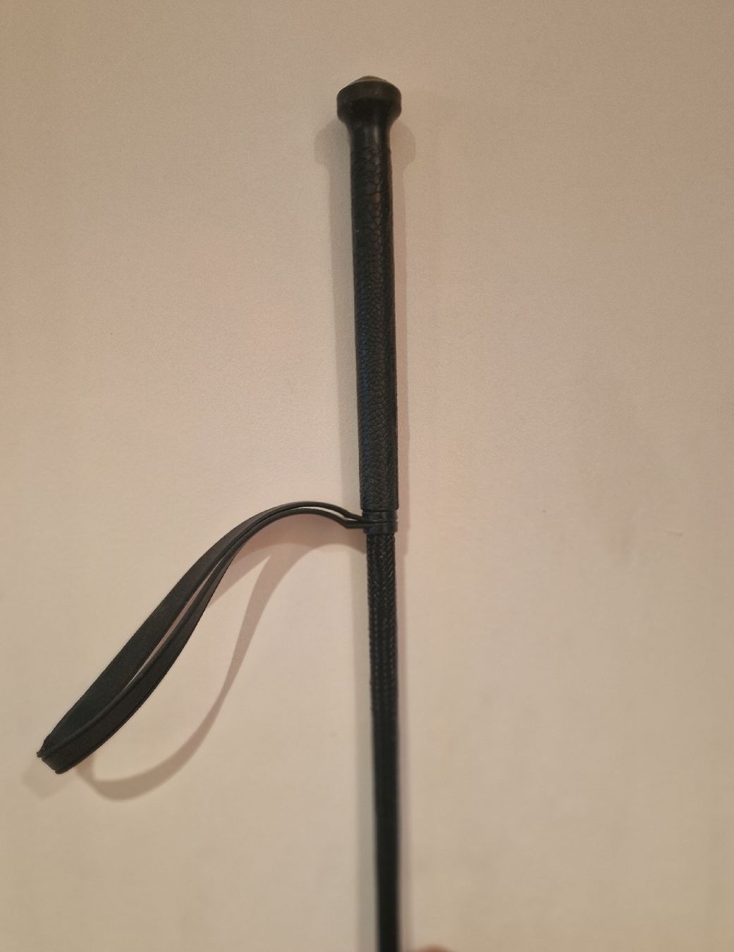 Cravache (Neuf (Voir description)) à Biel/Bienne pour CHF 30 – avec ...