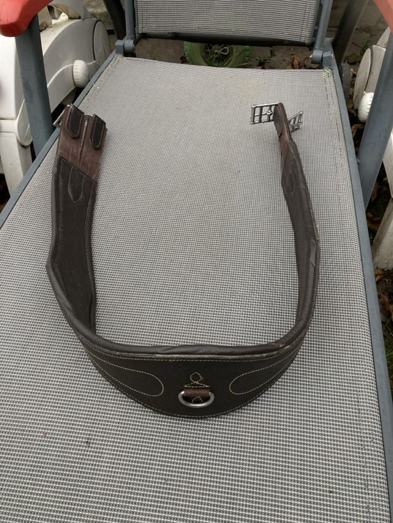 sattelgurte braun 120cm (Gebraucht) in grüningen für CHF 5 – mit Lieferung auf Ricardo kaufen