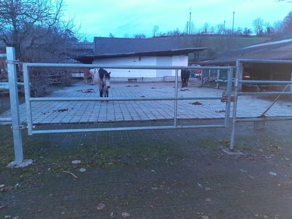 Weidetor | Kaufen auf Ricardo