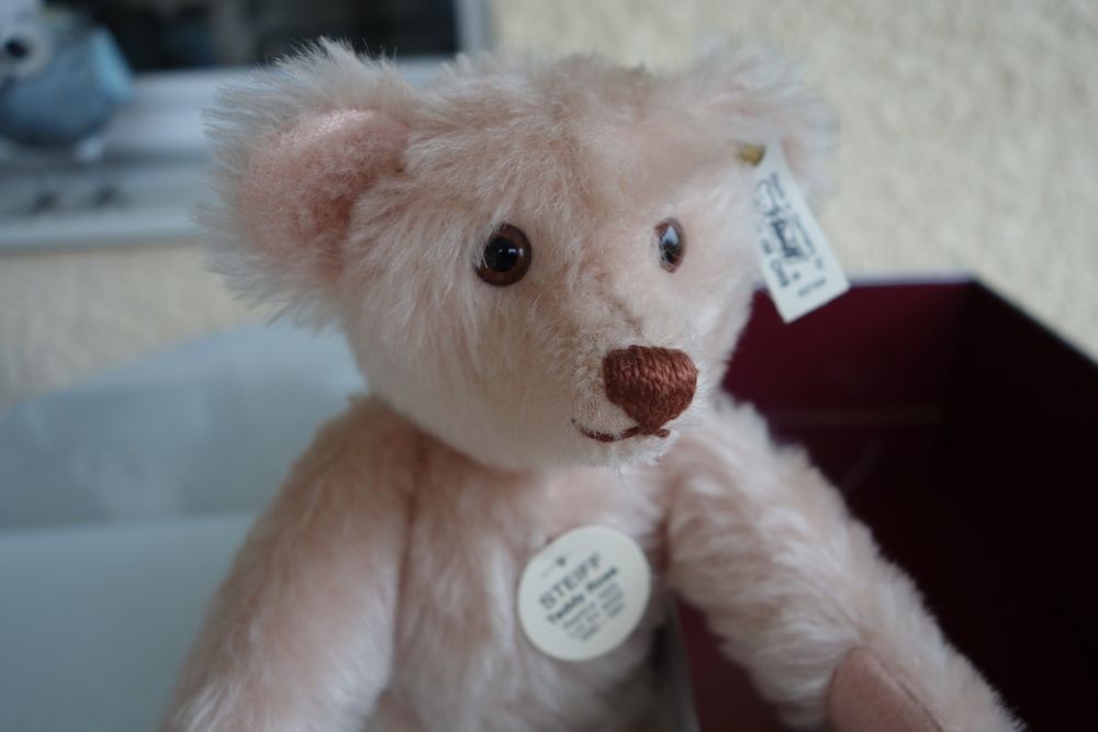 Steiff Teddy Rosé 1925, 25 cm (Neu (gemäss Beschreibung)) in Ebmatingen ...