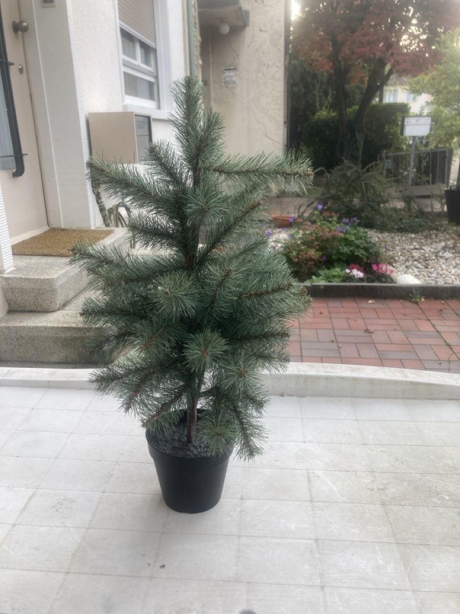 Künstlicher Mini-Tannenbaum, klein aber fein!🌲🎁 44 (Gebraucht) in Basel ...