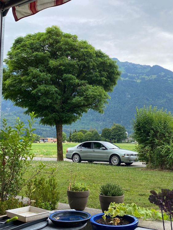 VOLVO S80 PREMIUM | Kaufen auf Ricardo