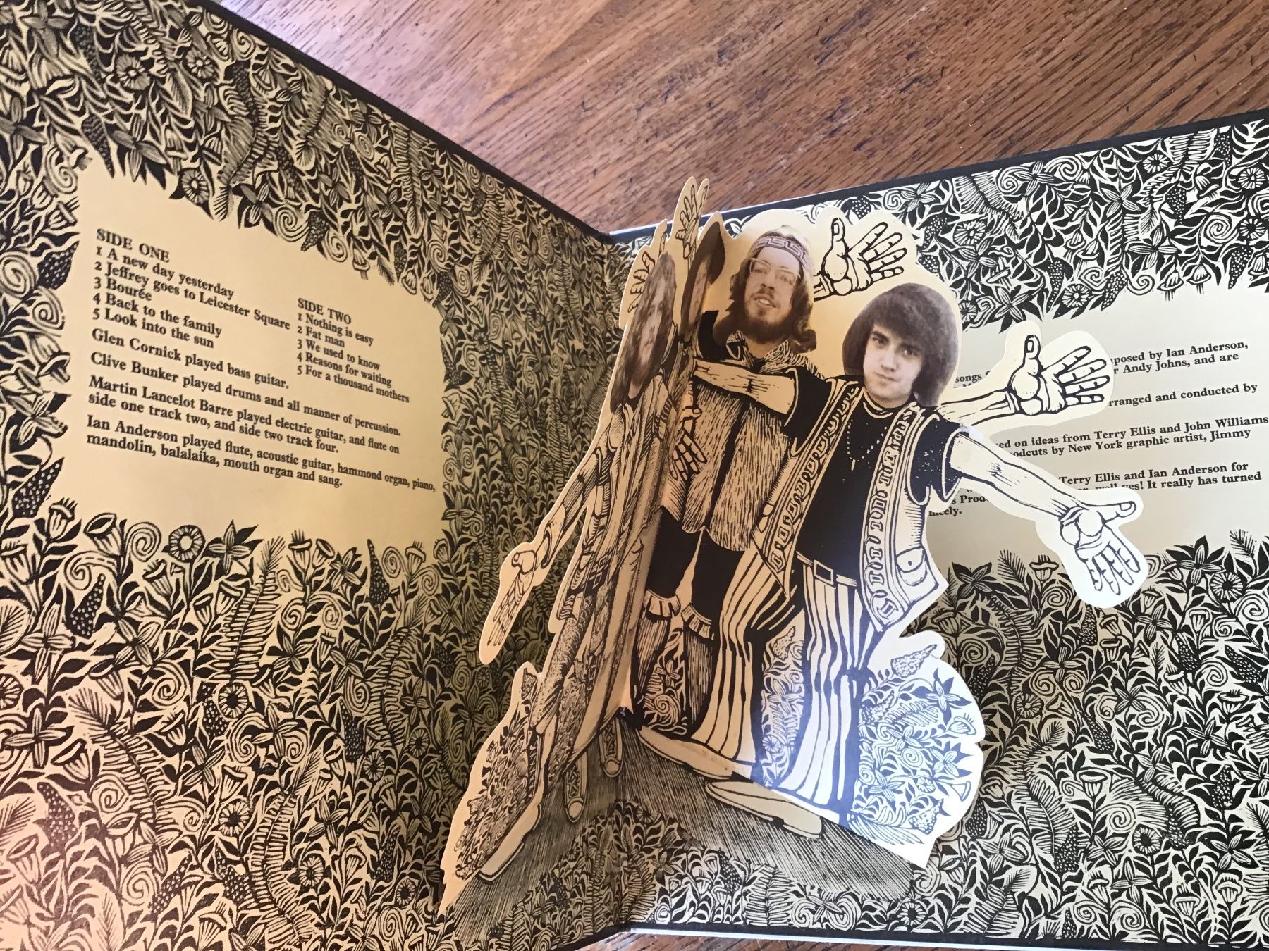 Plum Island LP Jethro Tull rare pop hup cover (D'occasion) à Fully pour ...