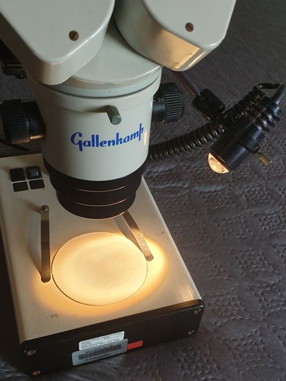 Olympus-Gallenkamp Mikroskop-Binocular (Gebraucht) in Muttenz für CHF ...