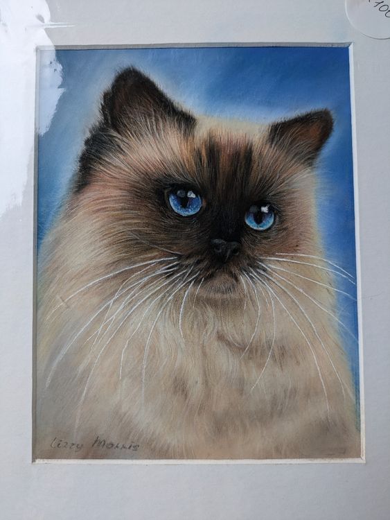 drawing from photo | Kaufen auf Ricardo