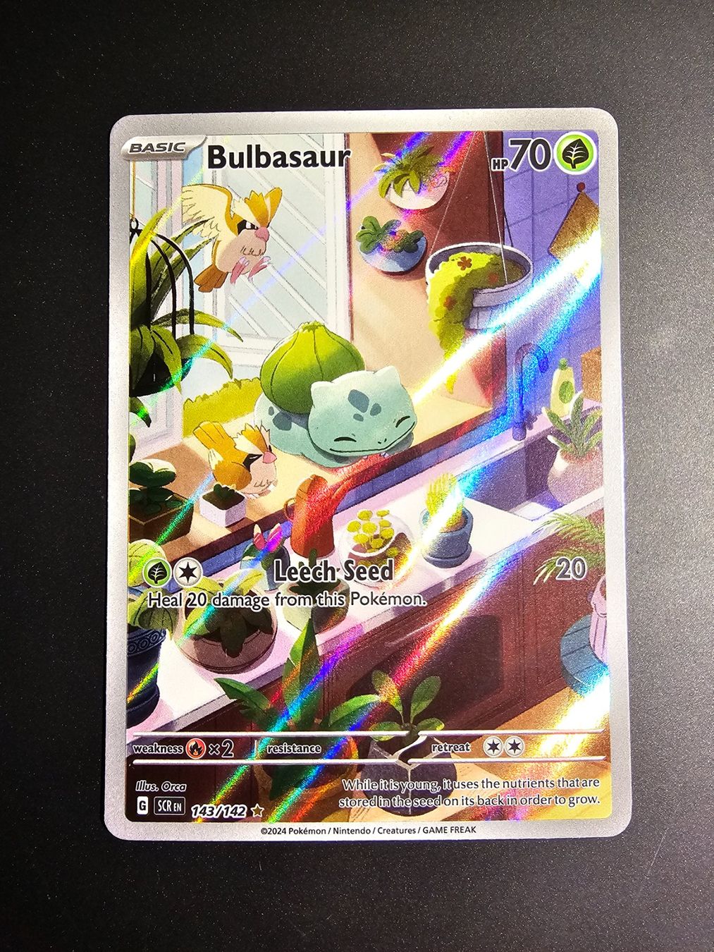 Pokemon Bulbasaur / IR #143 / Stellar Crown / EN (Neu (gemäss ...