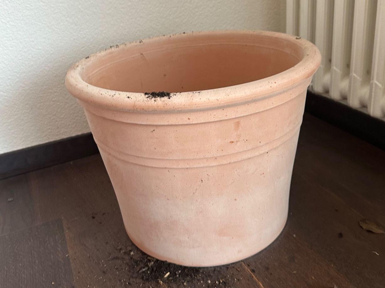3x plant pots (Gebraucht) in Cham für CHF 5 – nur Abholung auf Ricardo ...