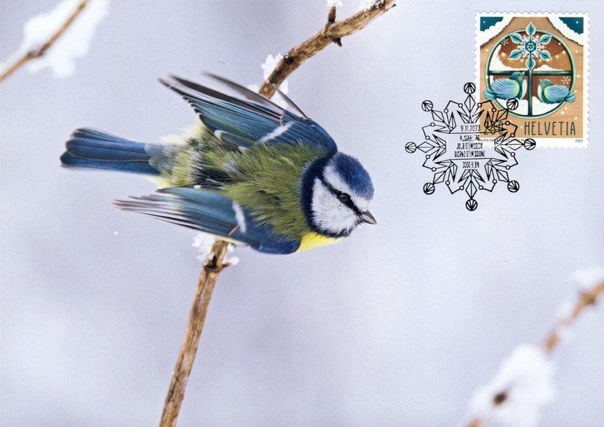 Maximumkarte Weihnachten 2023 - Vögel (Neu (gemäss Beschreibung)) in Dottikon für CHF 9 – mit ...